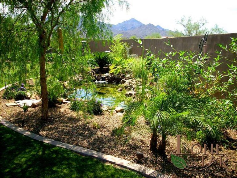 913-landscape-gallery-dense-landscape | Lone Star Landscaping